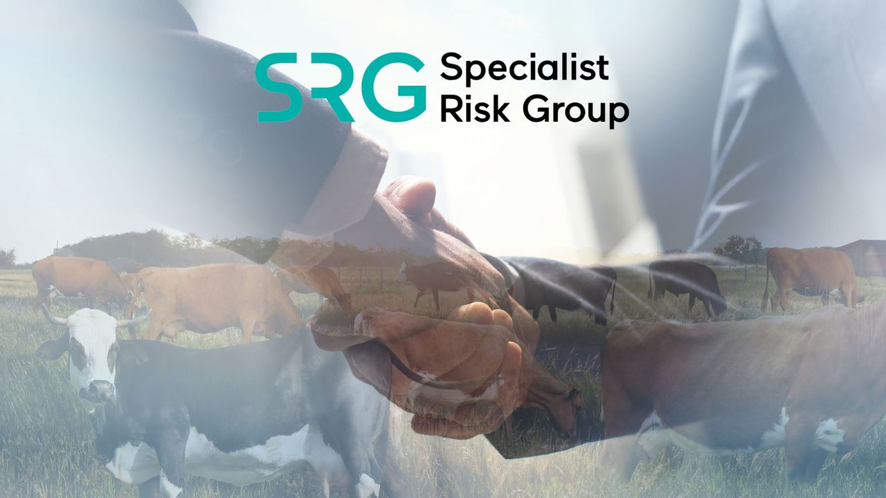 SRG snaps up specialty broker to expand equine insurance portfolio ...